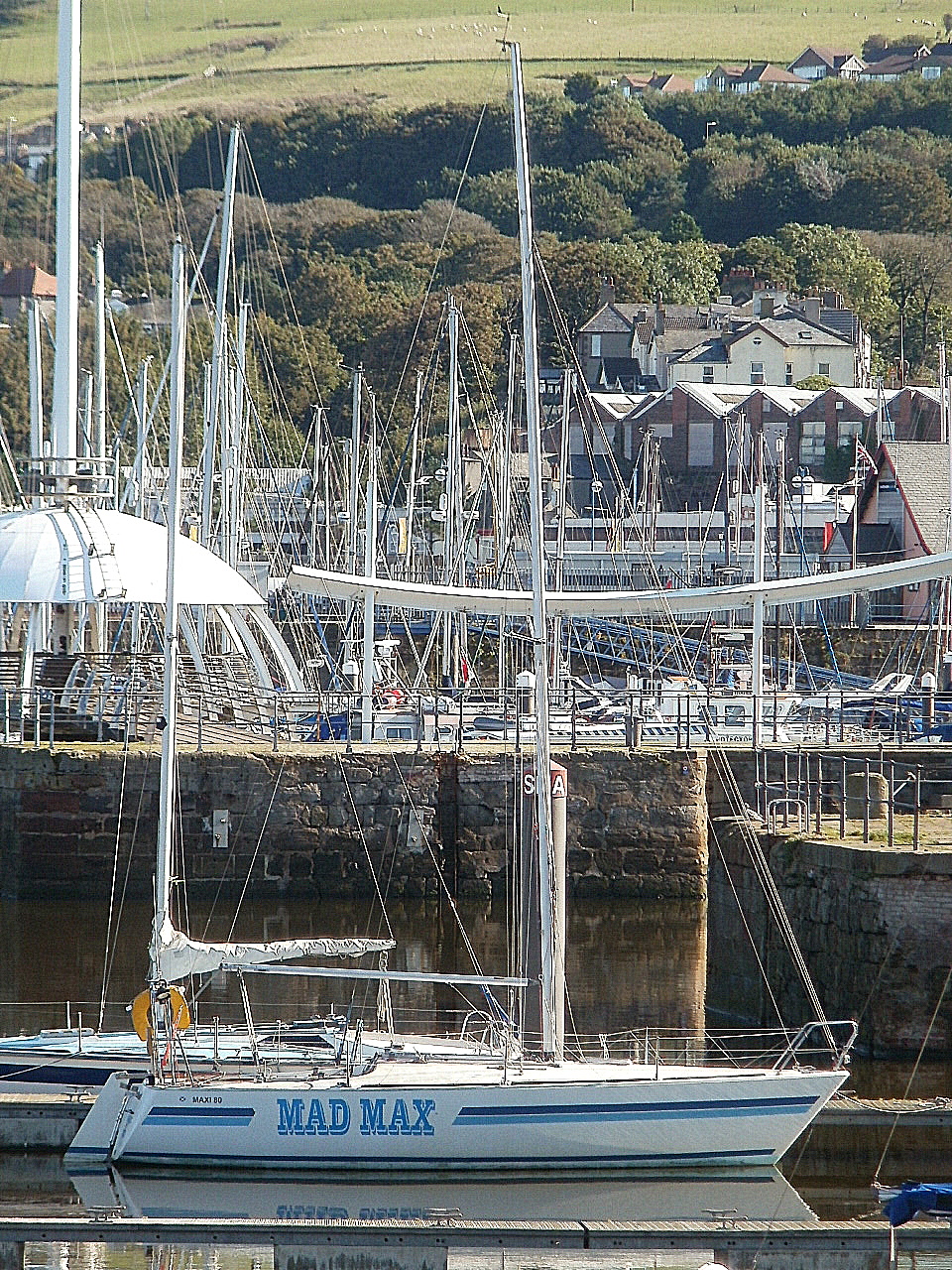 Shockwave40: MAD MAX - Maxi 80 design - IOR 1/4 ton yacht