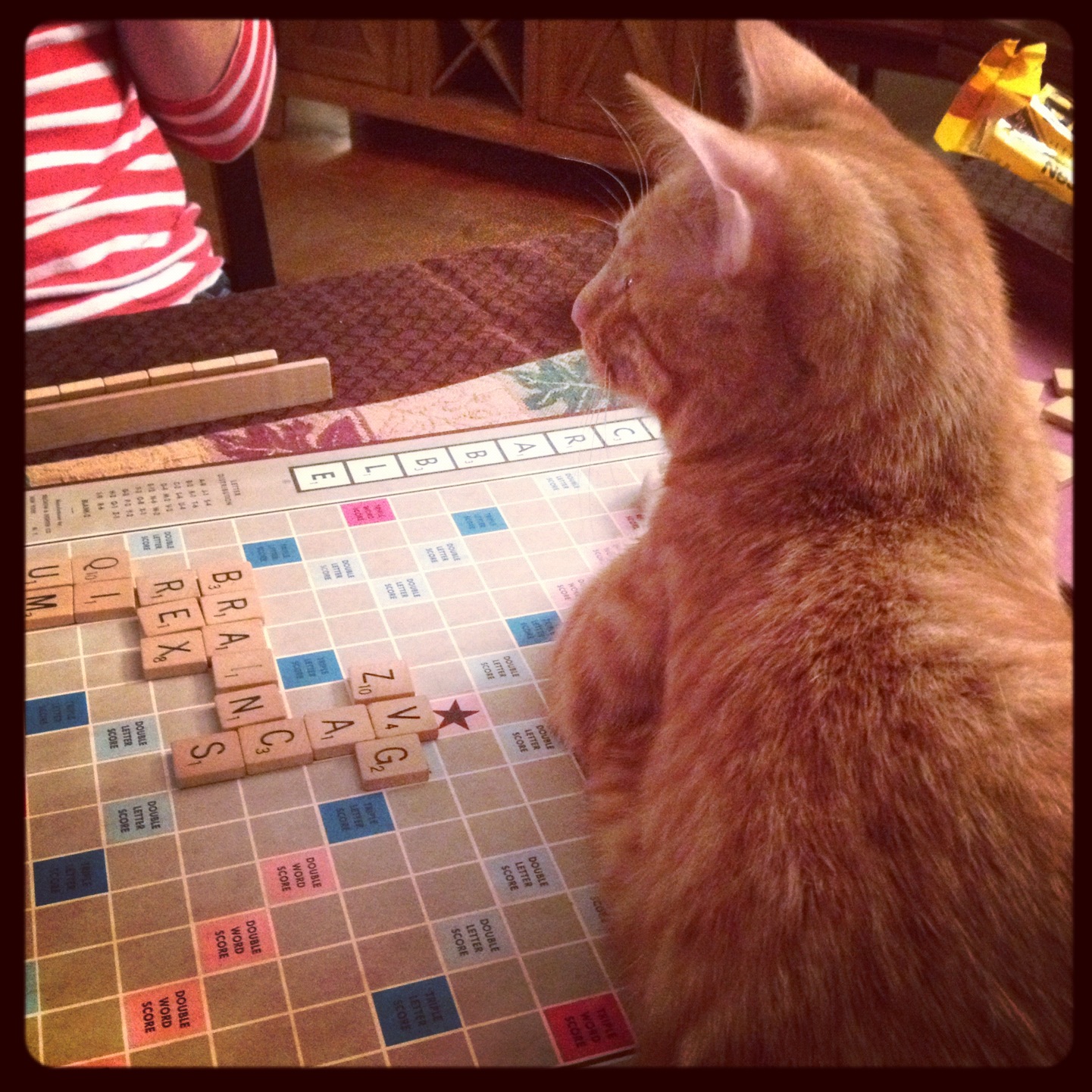 eat, drink & be terry: We Need More 5 Day Weekends!