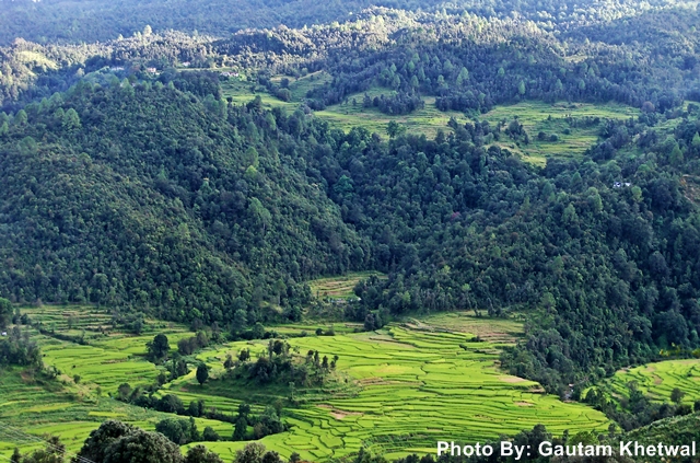Uttarakhand Devbhoomi: Didihat