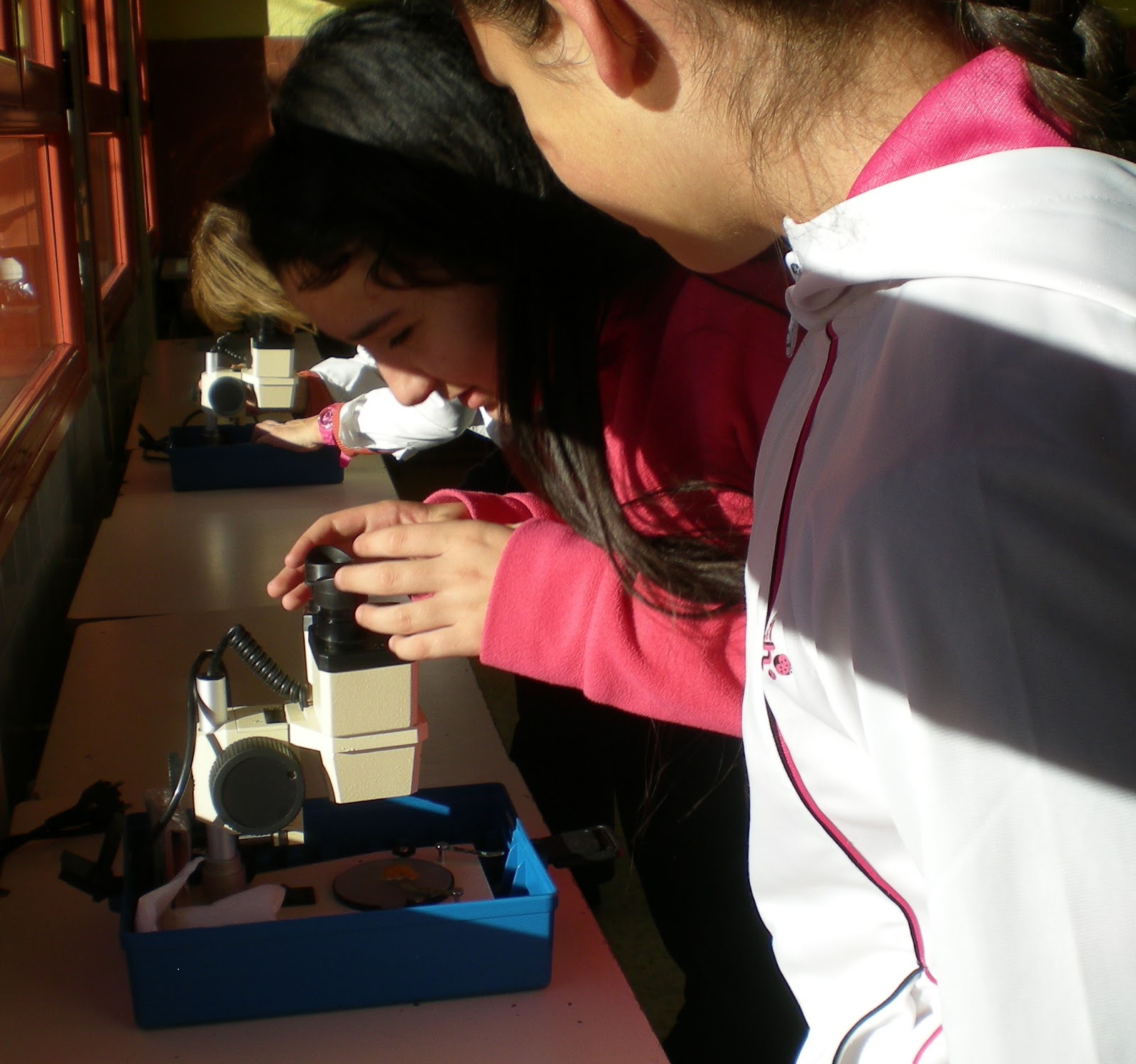 EL CUERPO HUMANO: LA BOTELLA FUMADORA