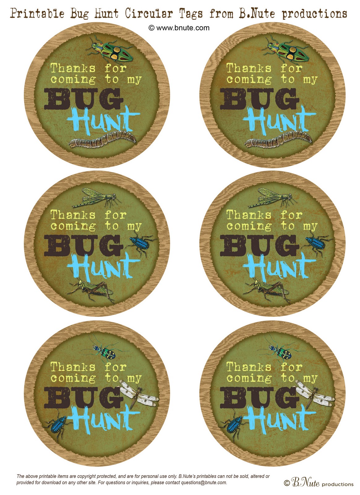 Trevor's Bug Hunt Birthday: Trevor's 3rd birthday - a bug hunt!