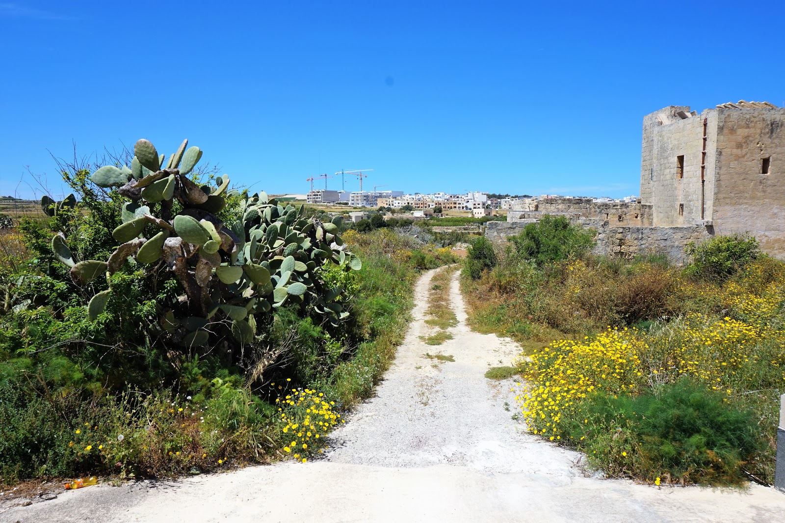 NINE THINGS TO EXPECT FROM MALTA | being erica