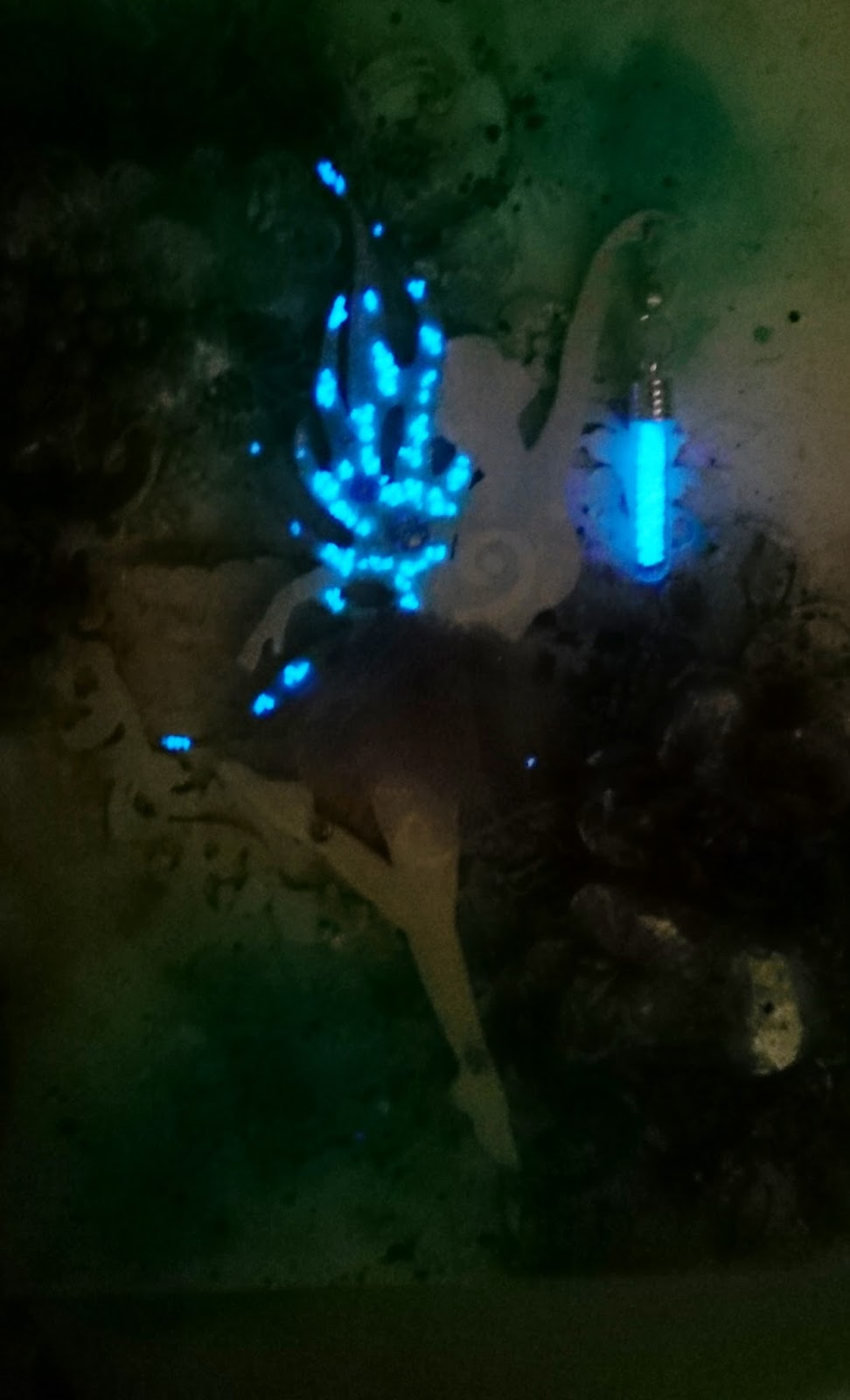 Enter into the magic: Fairy Dust