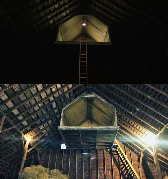 Tiny triangular loft with reading nooks and a skylight opening up to a ...