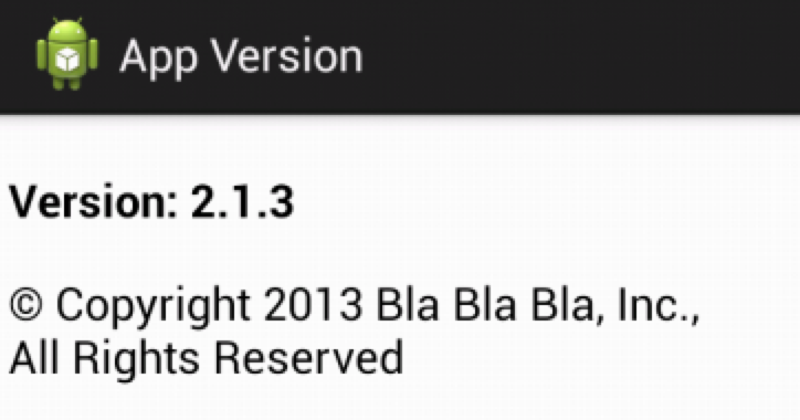 Programmers Sample Guide Android Display Application Version Name