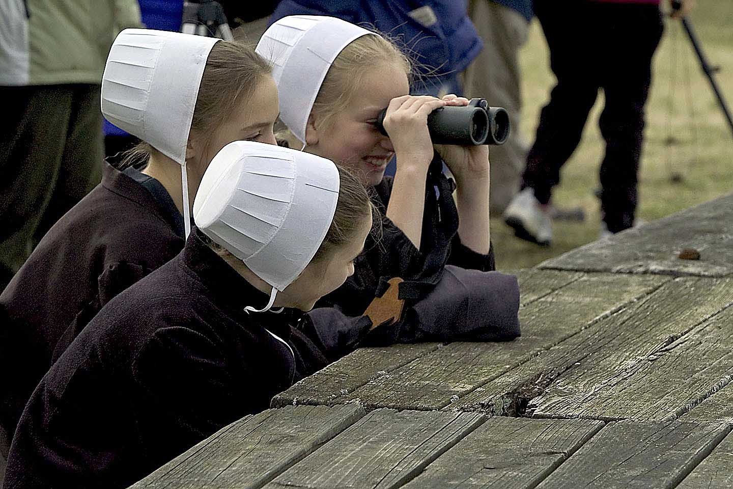 Adams County, Ohio - Nature & Outdoor Notebook