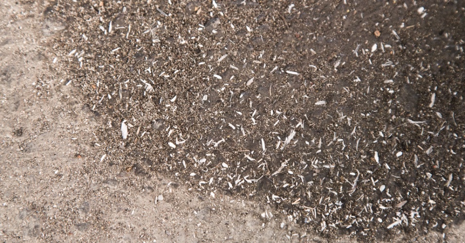 Fuligem Misteriosa | Notícias de Belford Roxo