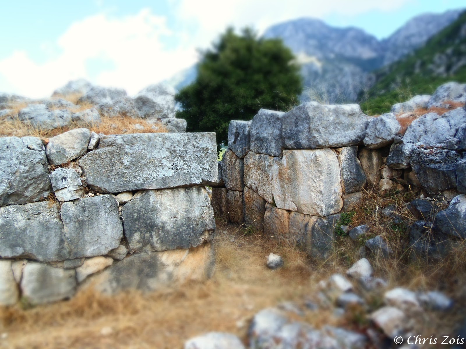 ΤΟ ΜΕΓΑΛΟ ΜΥΣΤΙΚΟ - ΧΡΗΣΤΟΣ Ε. ΖΩΗΣ: ΕΛΕΑ Θεσπρωτίας - Ένα «Μάτσου ...