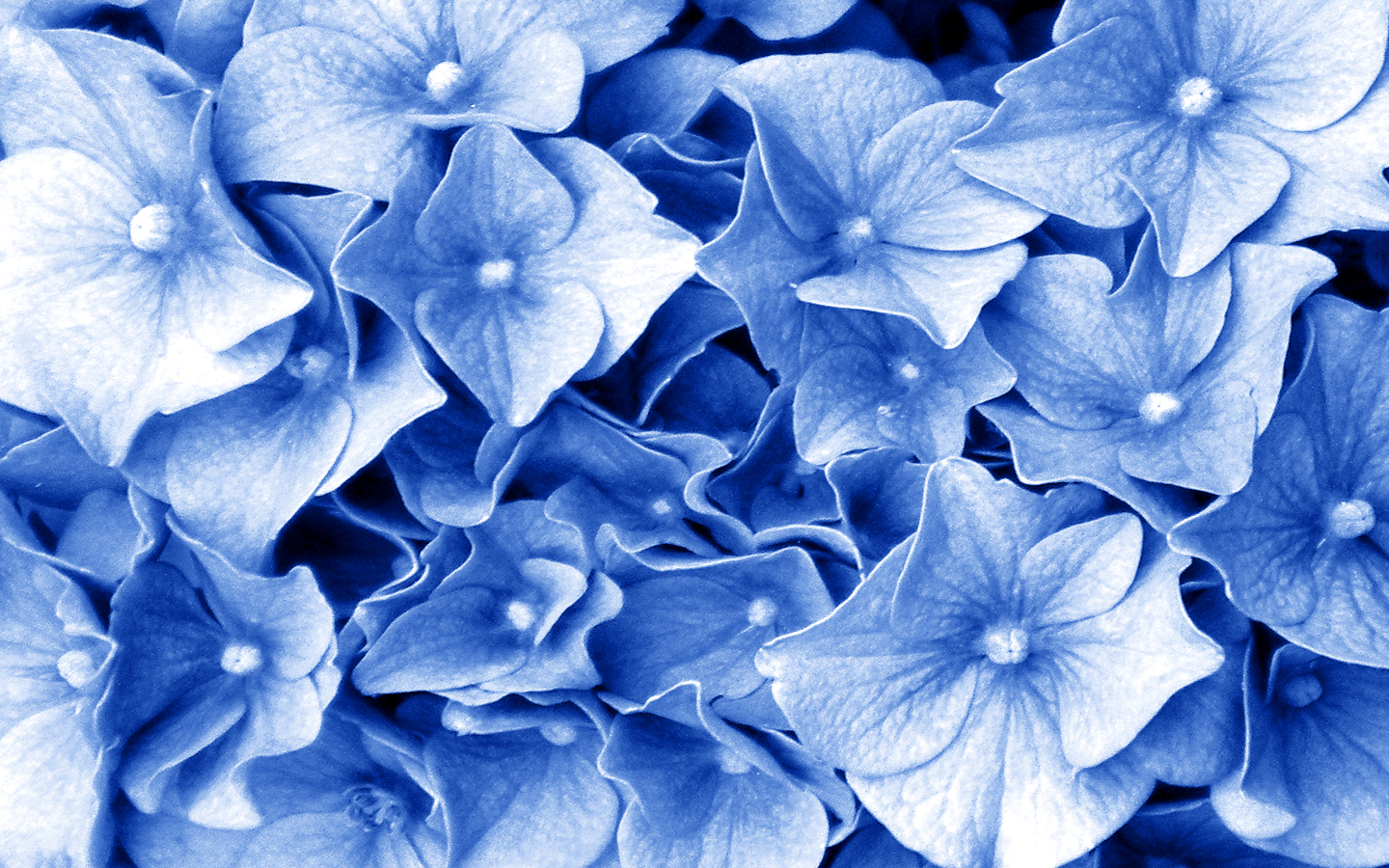 7 das Artes: Falando de azul....