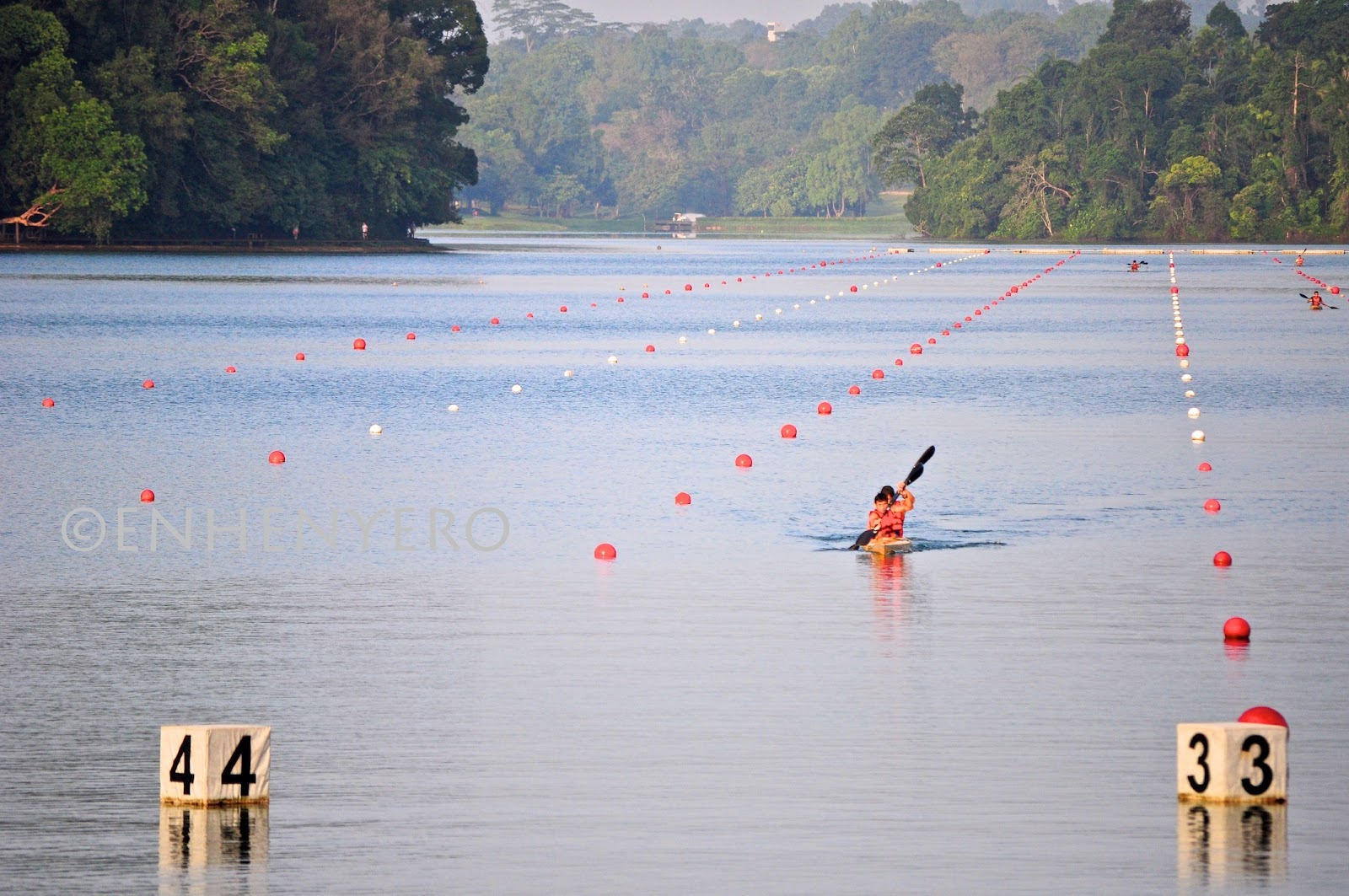 braggies: MacRitchie Reservoir, Singapore