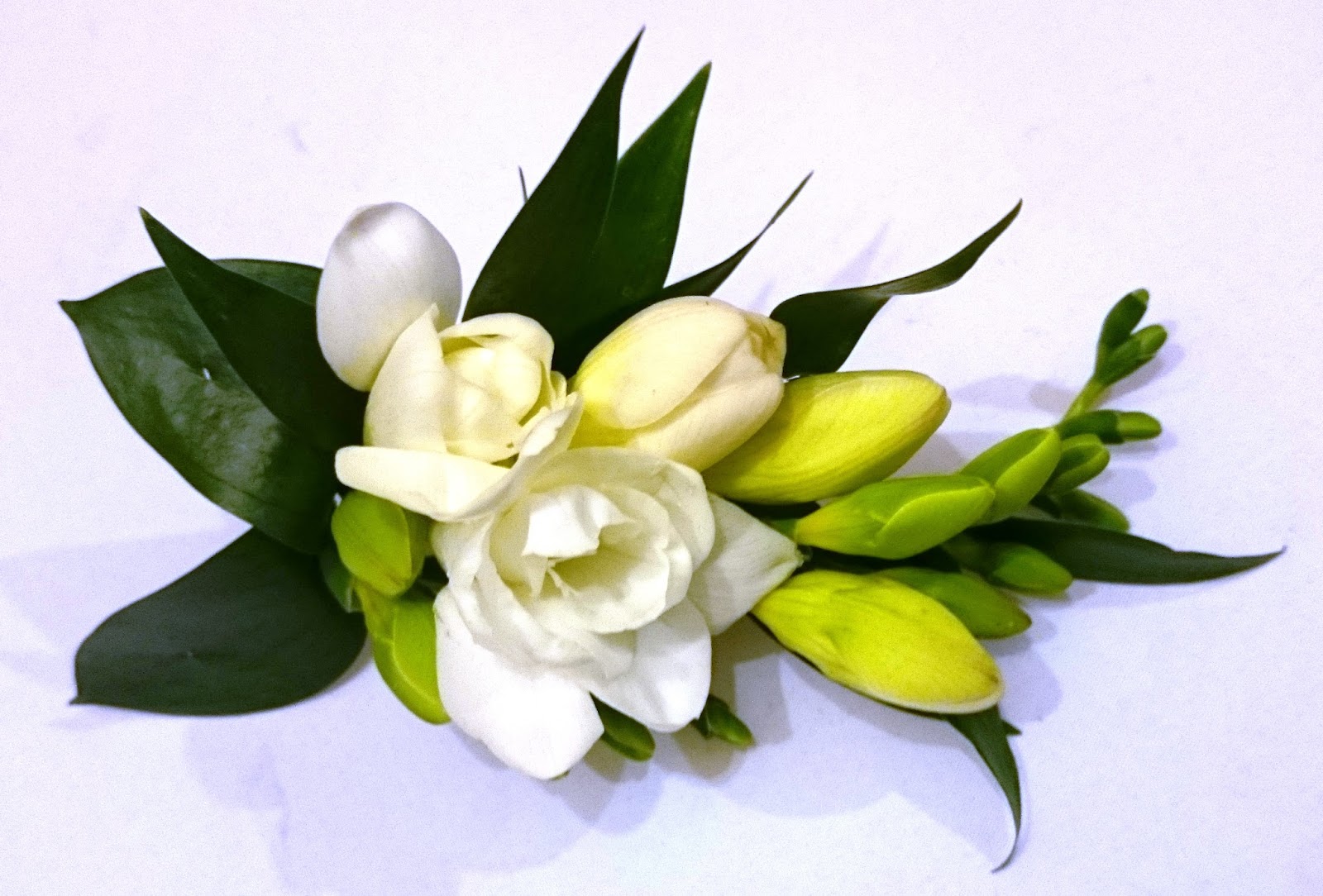 Sandra's Flower Studio.: Blush and Ivory Wedding Flowers