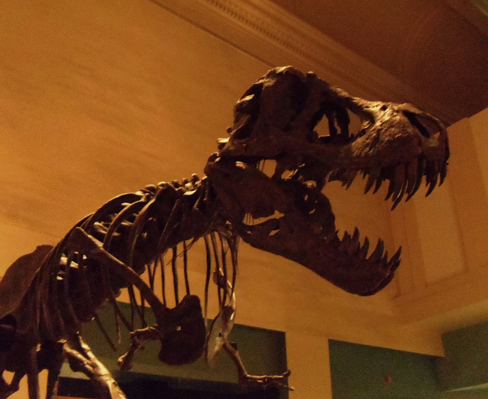 T.rex to be centerpiece of Smithsonian's new dinosaur exhibit | Things ...
