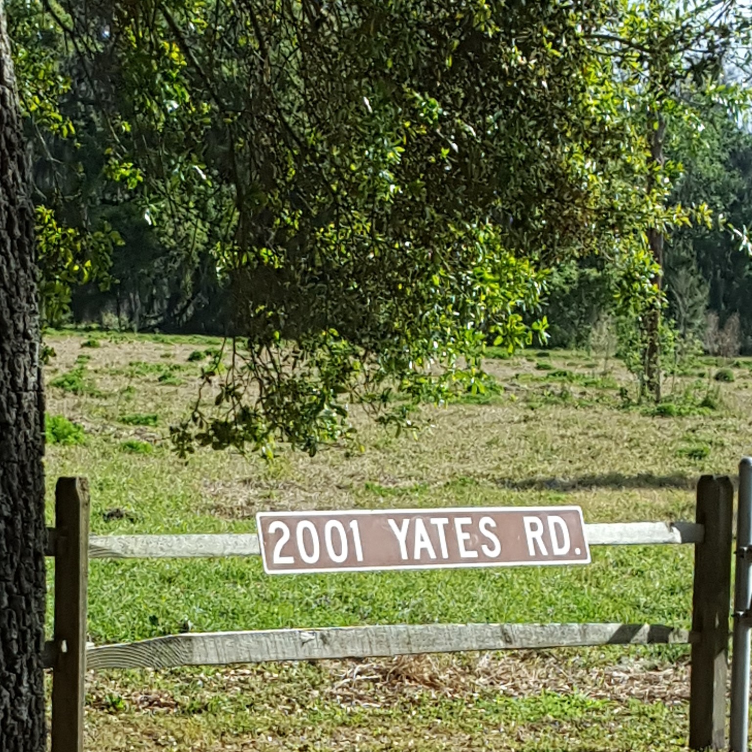 CENTRAL FLORIDA'S FASCINATING HISTORY: ORLANDO Founding Families: The ...