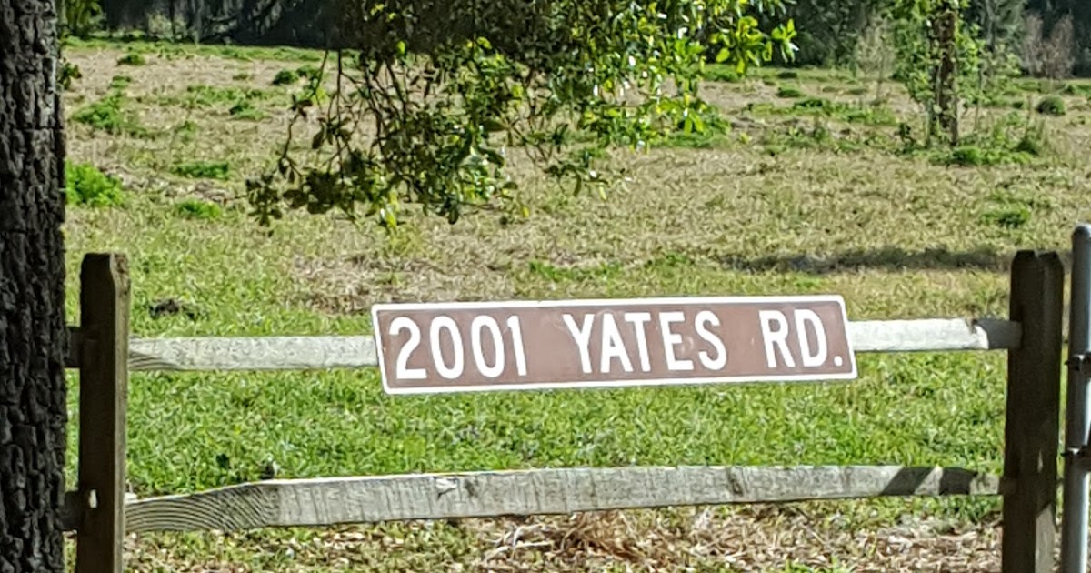 CENTRAL FLORIDA'S PROUD HISTORY: ORLANDO Founding Families: The YATES ...