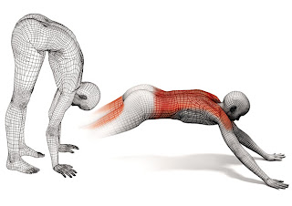 Swimming and more | Swimming and exercise in the water: Dynamic stretching