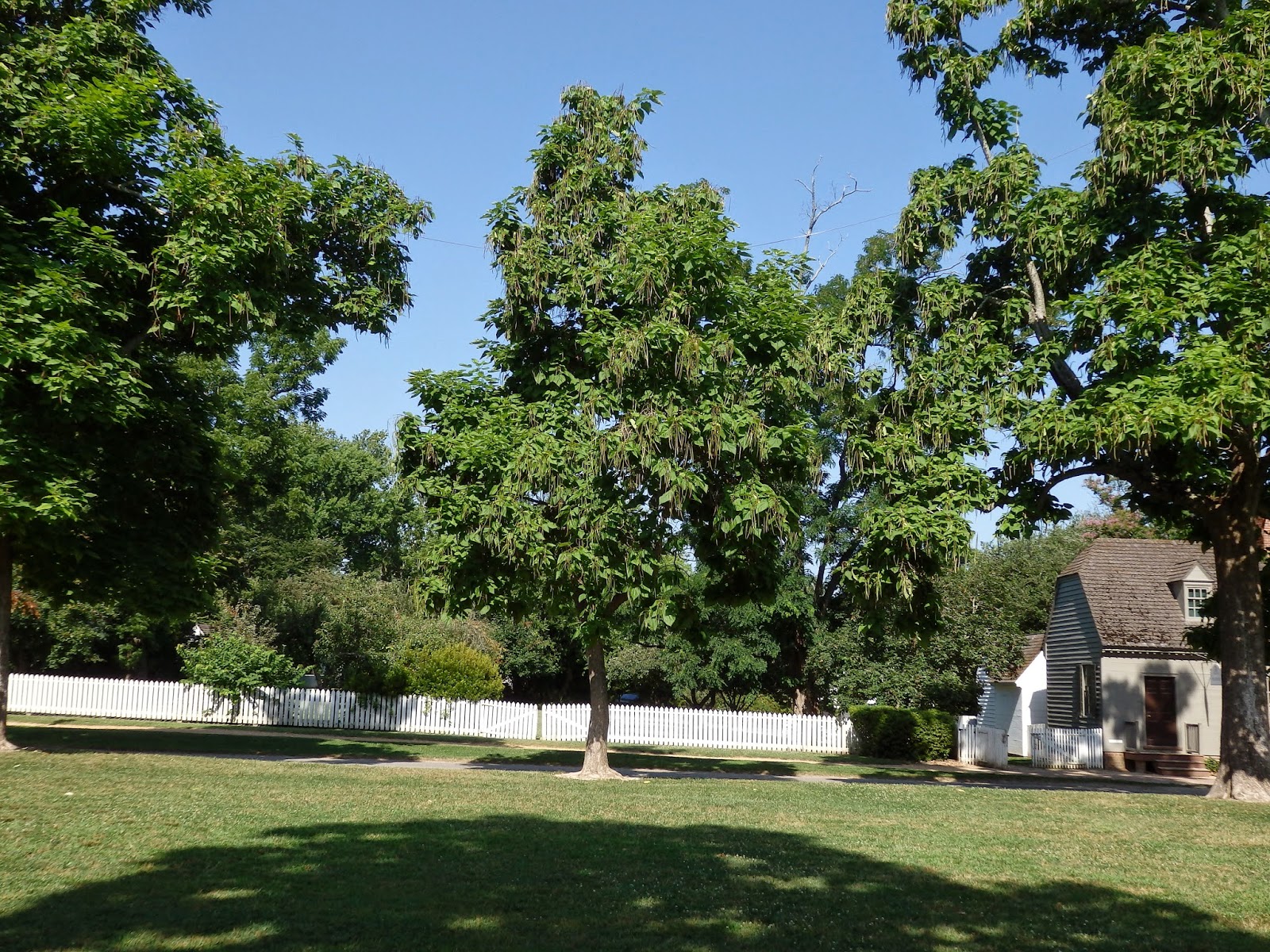 2 On the Road: Colonial Williamsburg, Virginia - Part 2