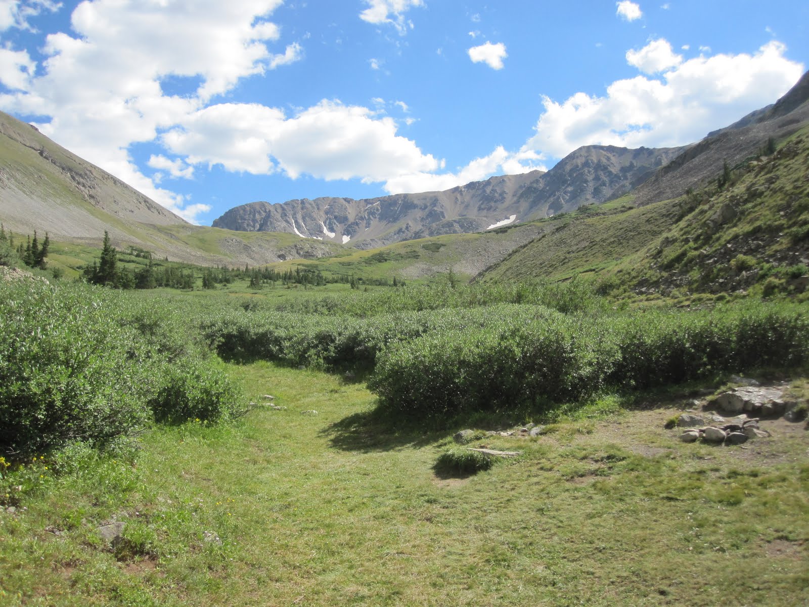 Cannundrums: August 2011