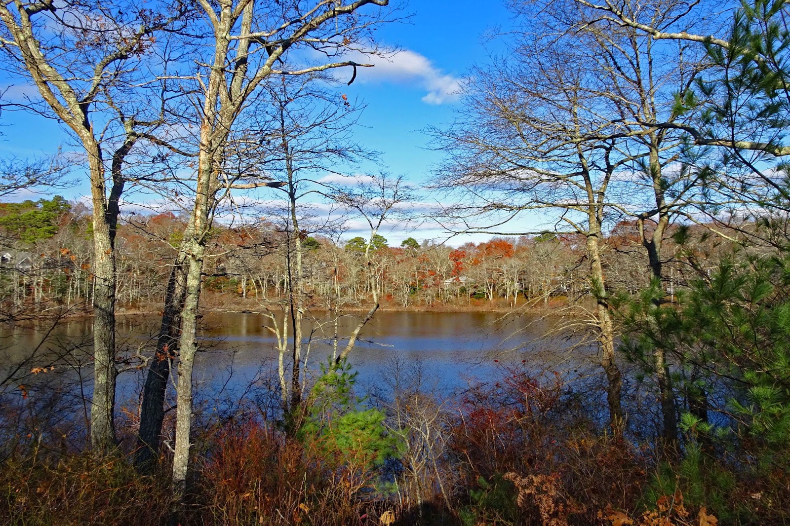 Joe's Retirement Blog: Shadowman Walks on a Sunny Day, Manomet ...