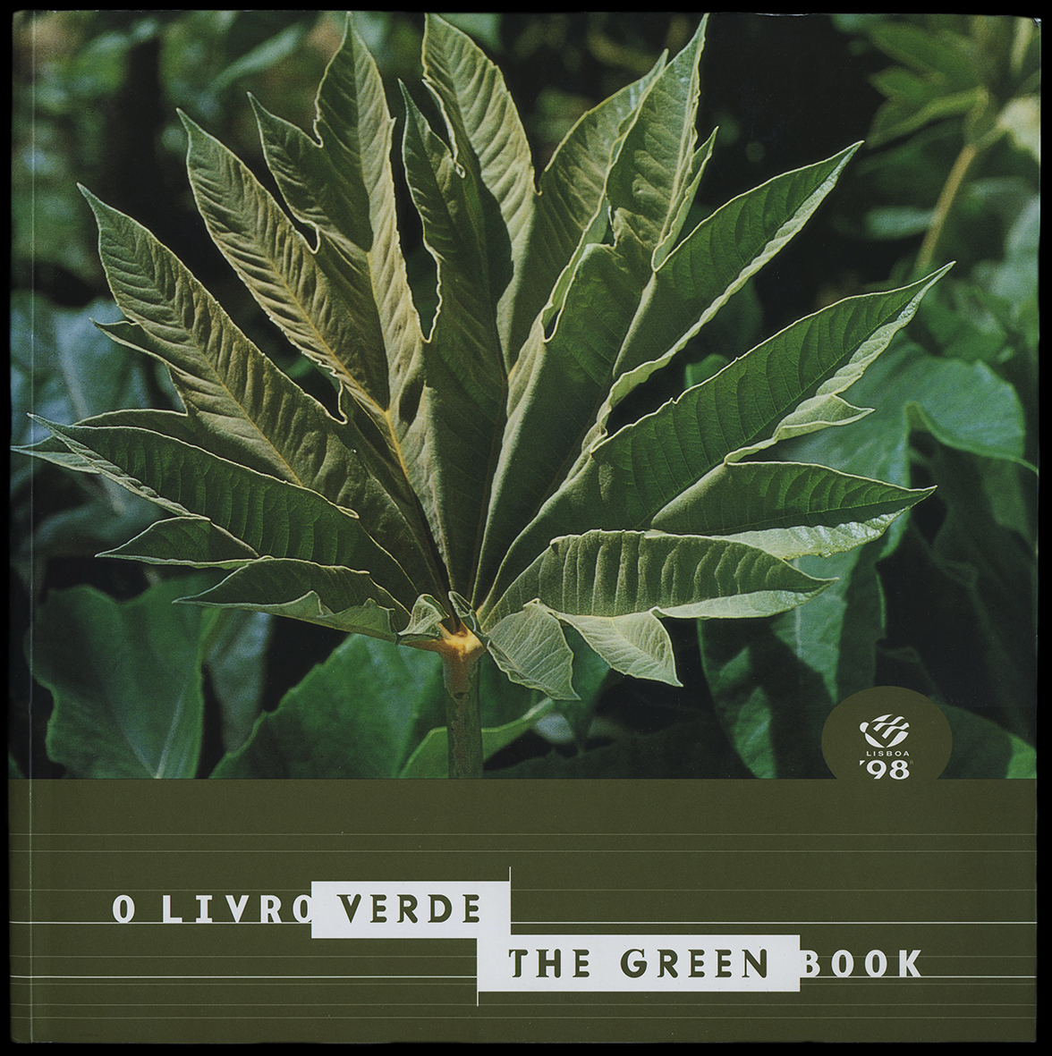 frenesi loja: O Livro Verde | The Green Book
