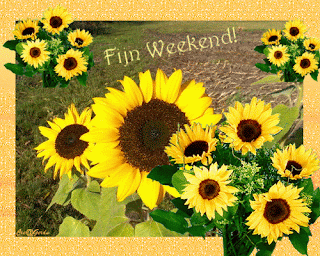 scrap 4 ever scrap4 ever: Fijn weekend allemaal