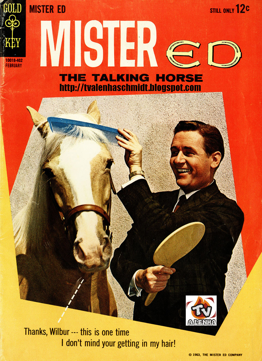 TV A LENHA E O VIAJANTE DO TEMPO: SÉRIES ANTIGAS DA TV (CLASSIC TV ...