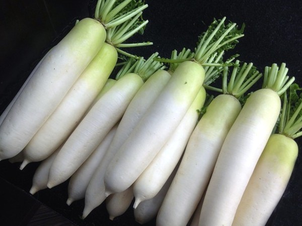 22 Manfaat Lobak Putih Untuk Kesehatan Dan Kecantikan - Obat Alami