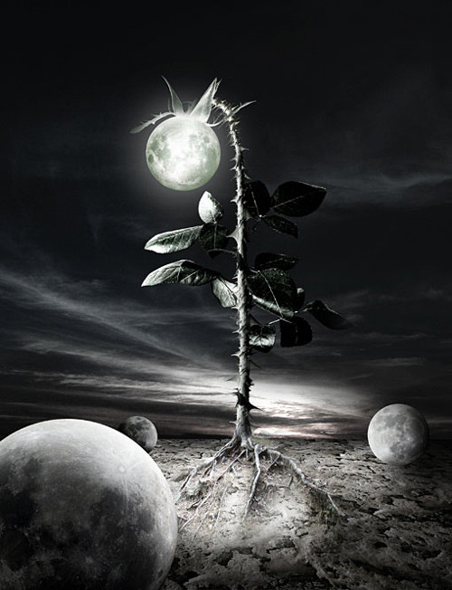 Surreal . Fine Art . Conceptual Photography/ Arts: top surreal art works Surreal . Fine Art . Conceptual Photography/ Arts: top surreal art works