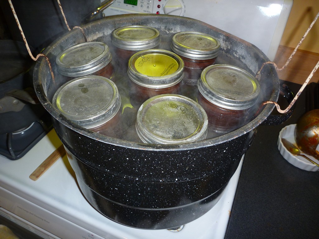 2 Stitches: New Zealand Ketchup