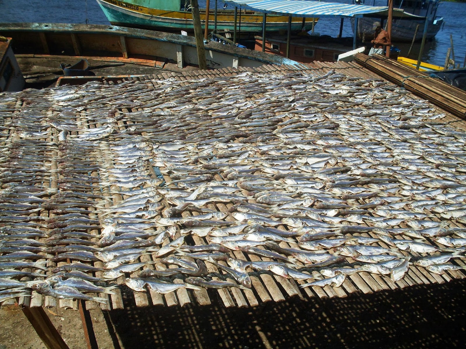 Peixe Seco - Valença Bahia