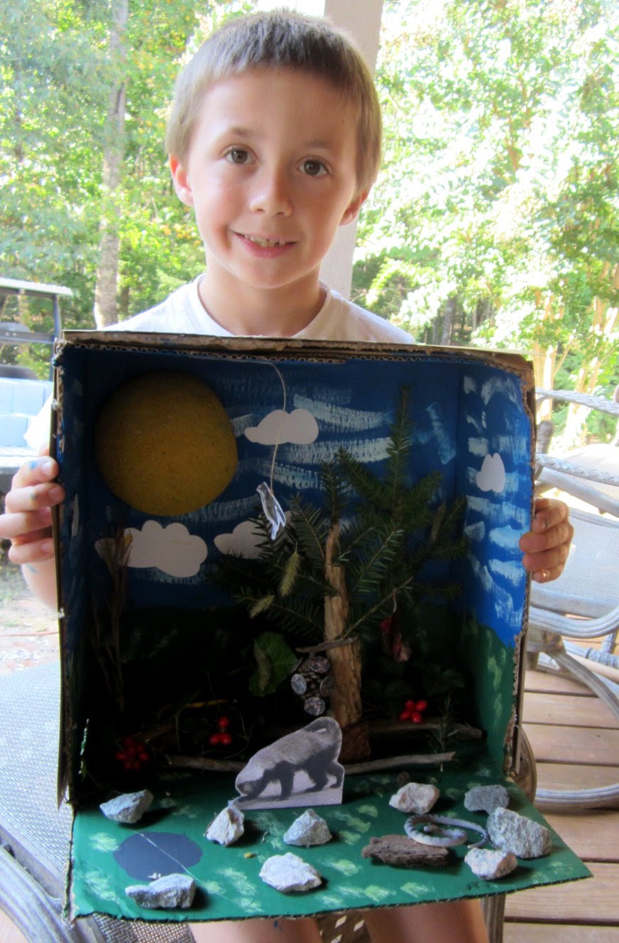 Missy Made It!: Griffin's Wild Animal Habitat Project.