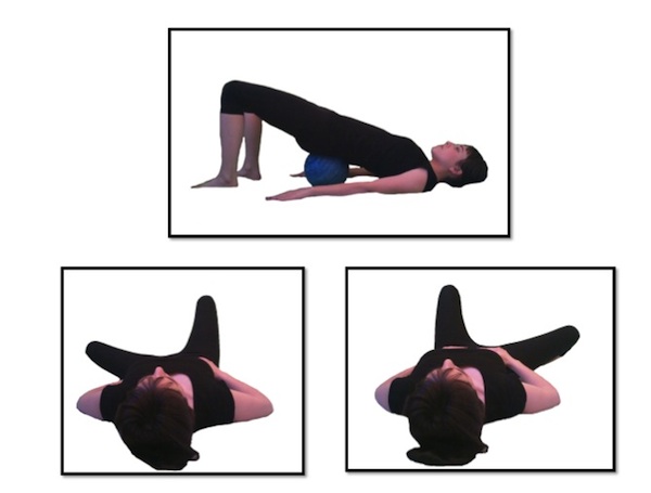 Exercise of the Day: Day 105- Bent Knee Fallout Single Leg with Pelvis ...