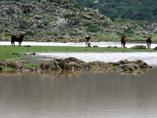 SENDERISMO EN EL RIF/RANDONNÉES DANS LE RIF: DHAR HAJAR Y FAHS LEMHAR ...