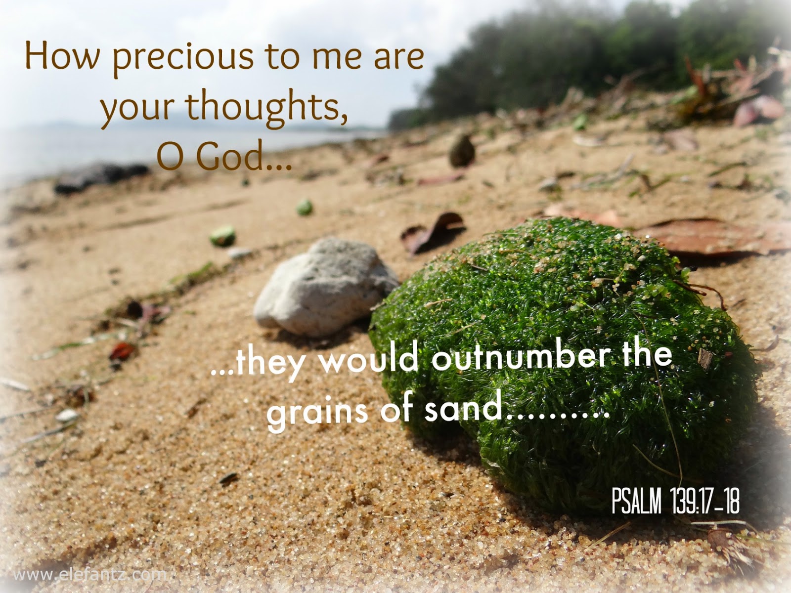 Jenny Of Elefantz Sunday Scripture ~ Psalm 139 17 18