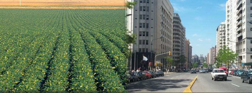 2.4.3 CARACTERÍSTICAS DE LA POBLACIÓN RURAL Y URBANA