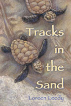 Loreen Leedy Books + More: Sea turtle resource roundup