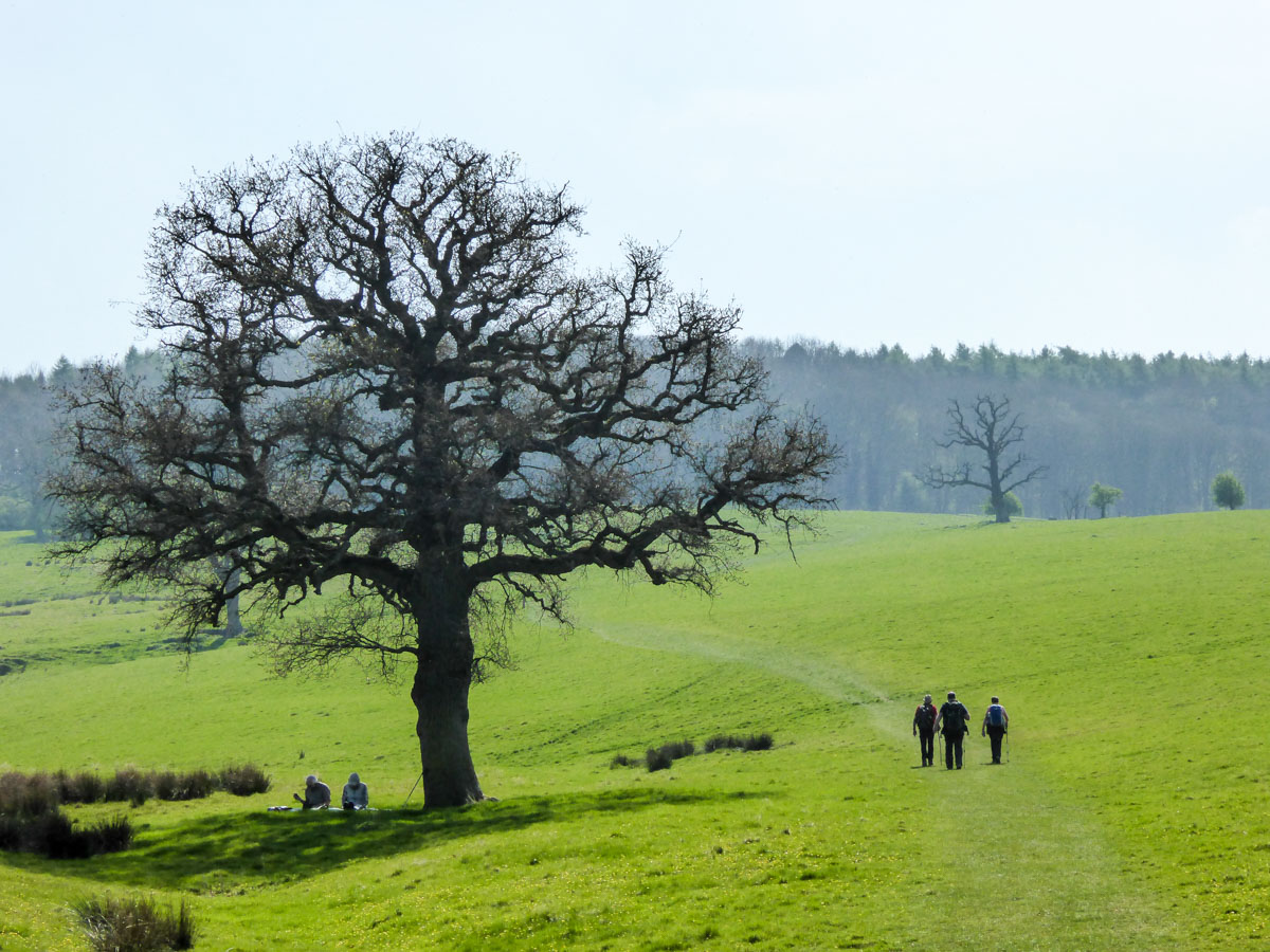 Cotswold Way: Wood Stanway - Cleeve Hill