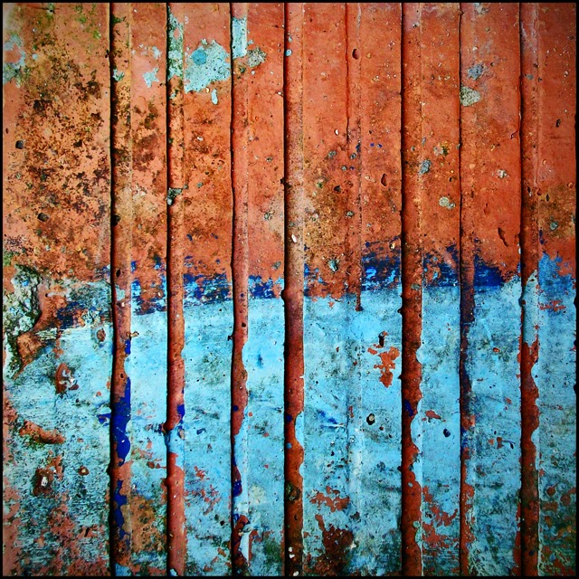 Taylor T: Elements & Principles of Photography