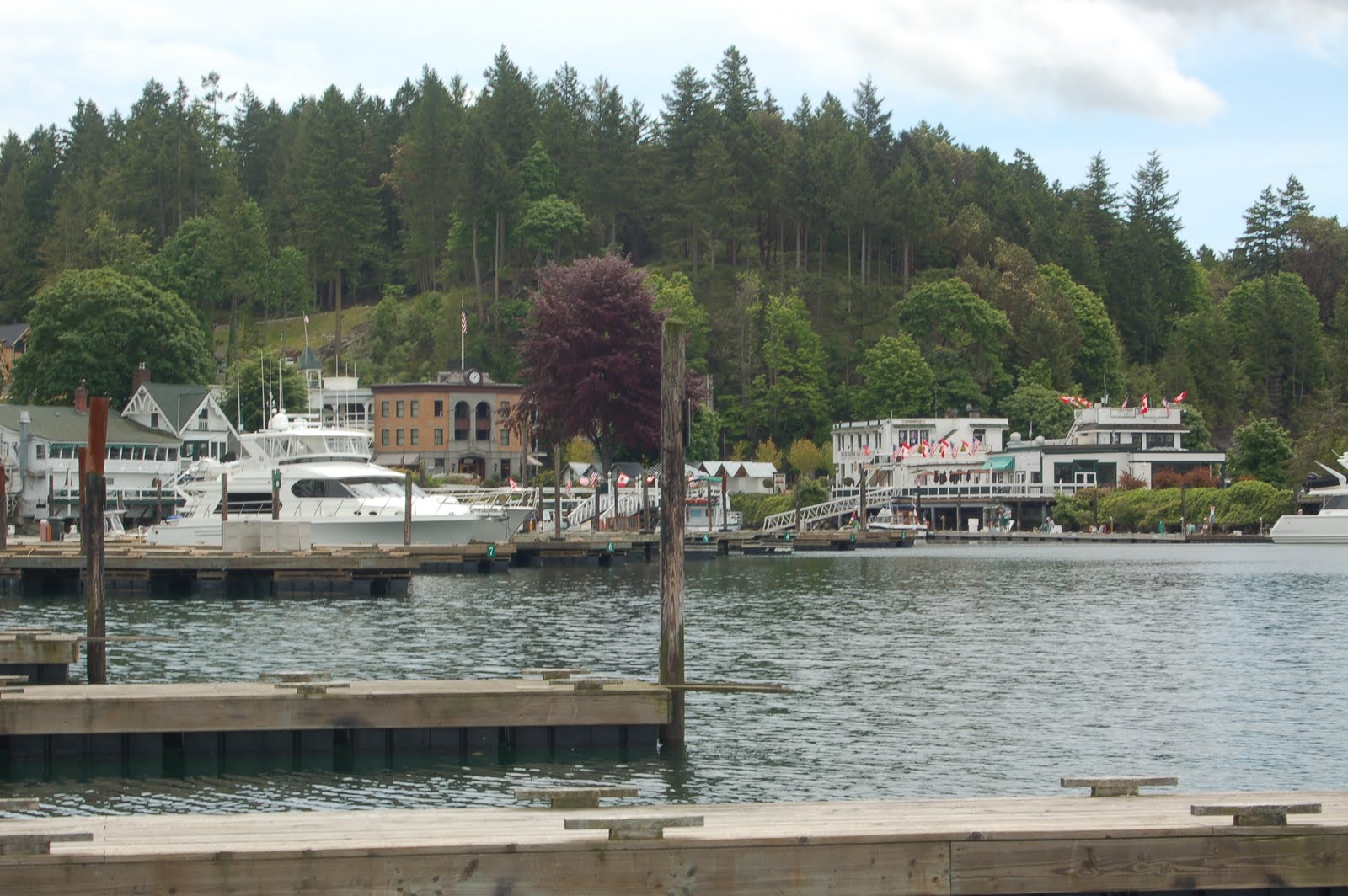 Marcella Burnard: Roche Harbor, San Juan Island