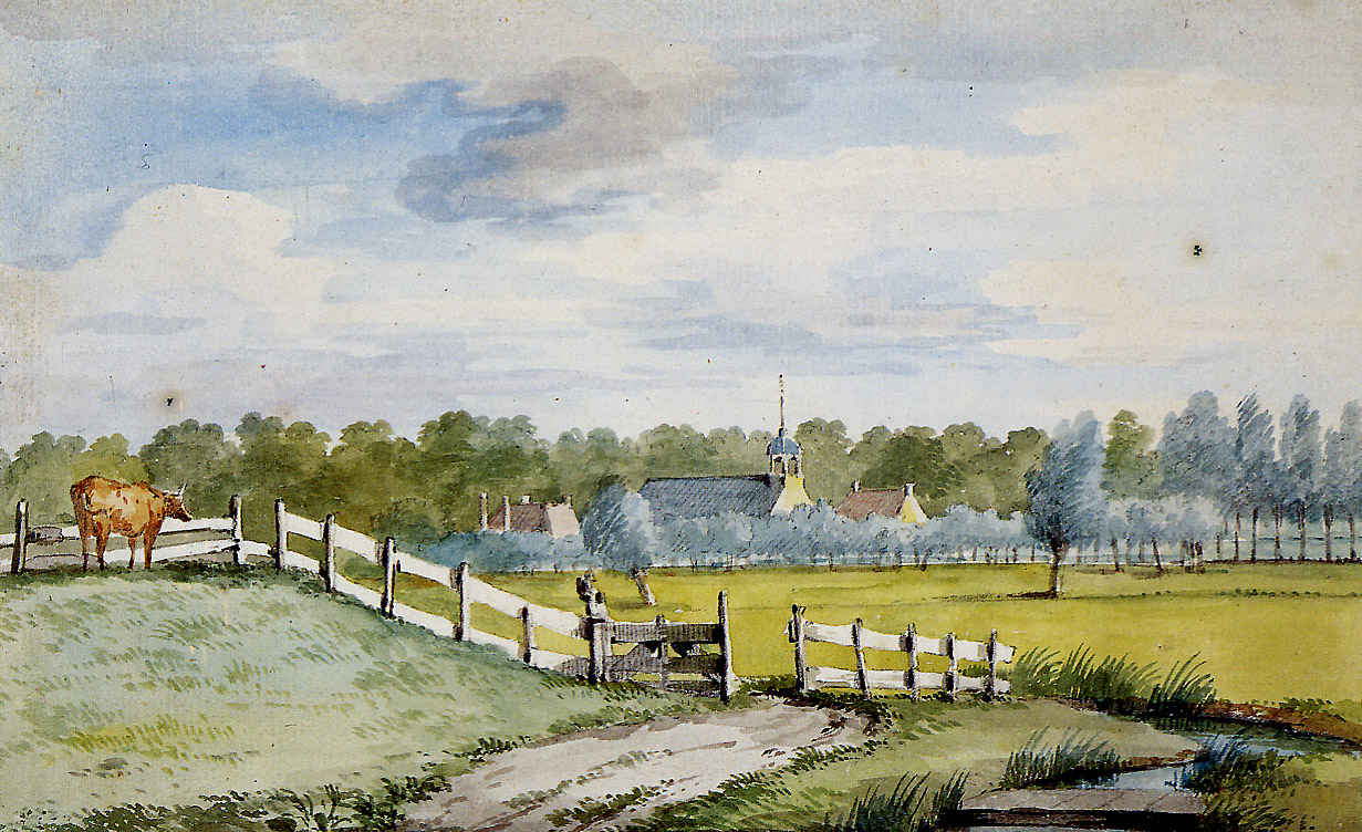 The Linosaurus: Aert Schouman, painter of birds