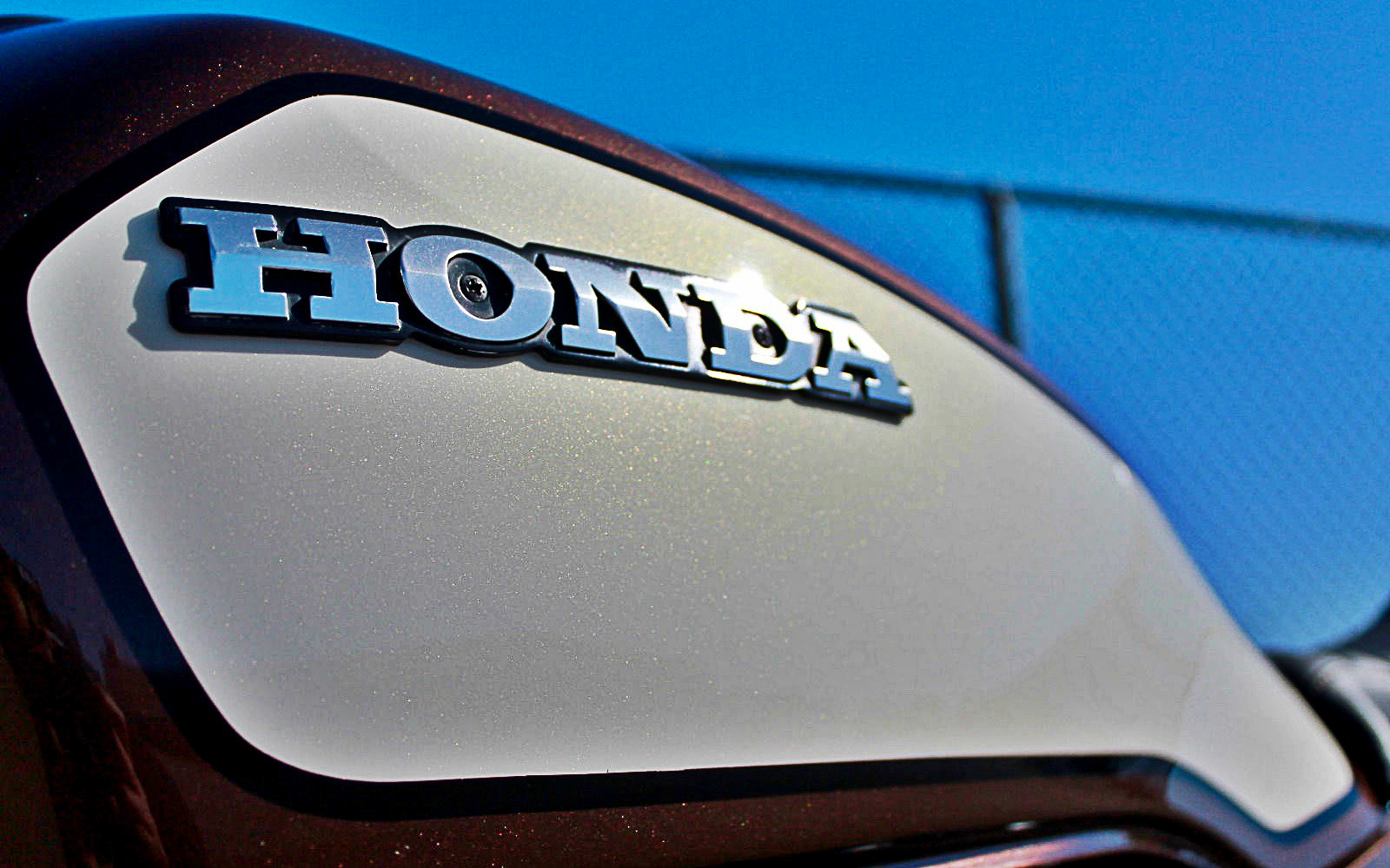 motor racing queen: VF750 Sabre Cafe