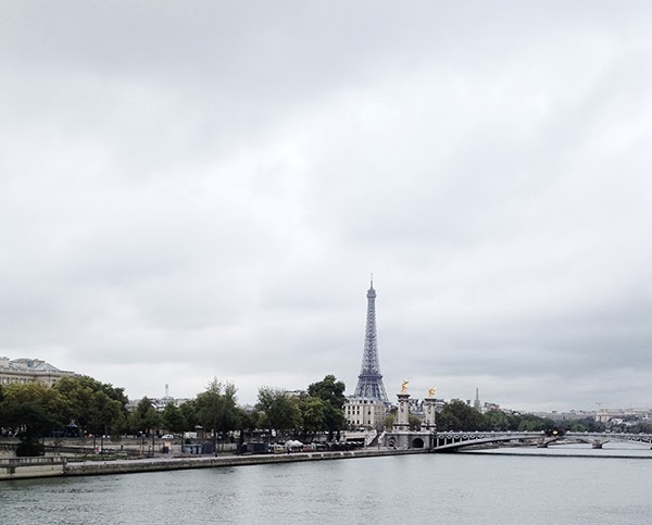 Solid frog: Paris snapshots