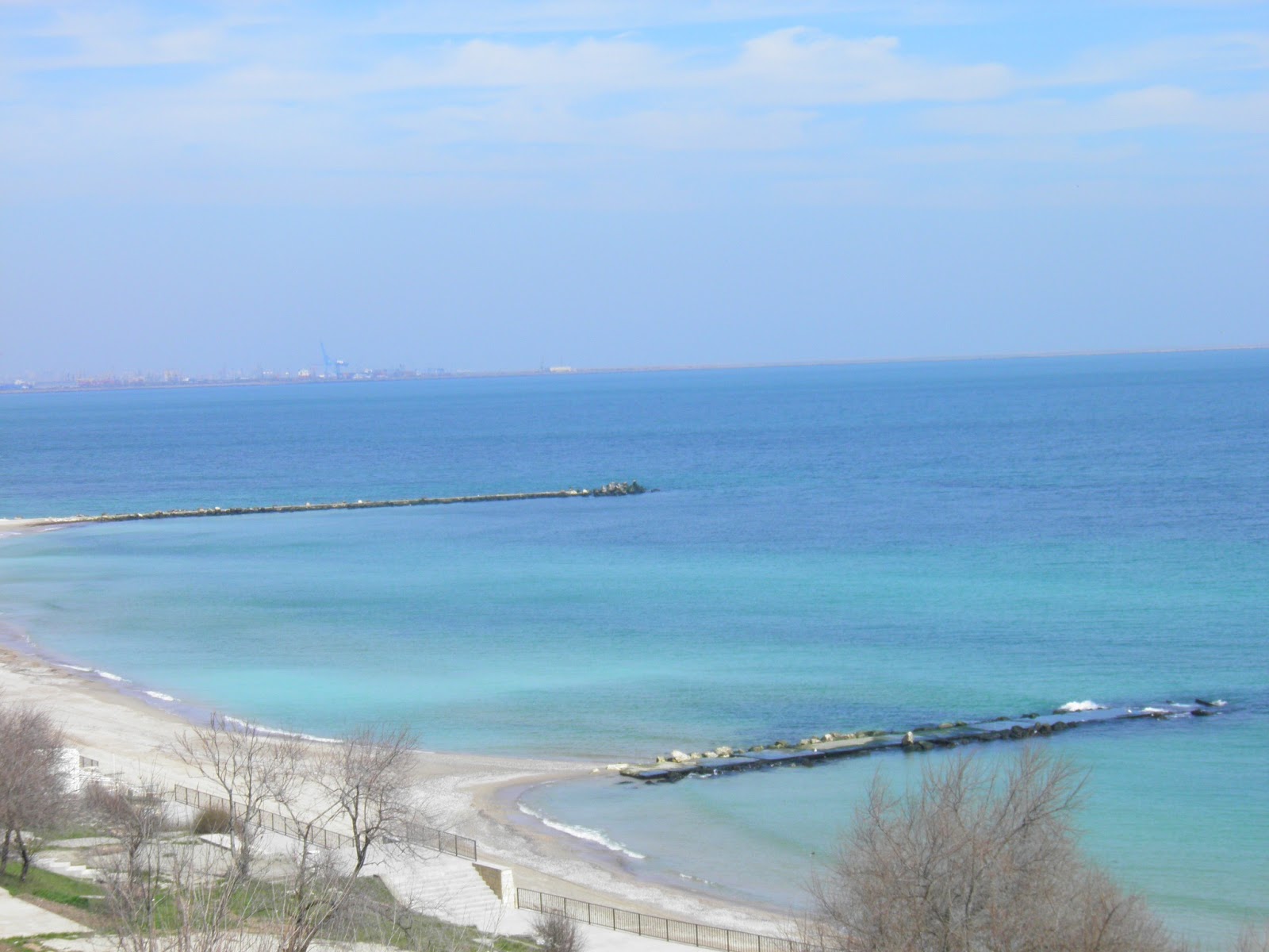 PASARI DIN ROMANIA: CODROS DE MUNTE (2), Phoenicurus ochruros