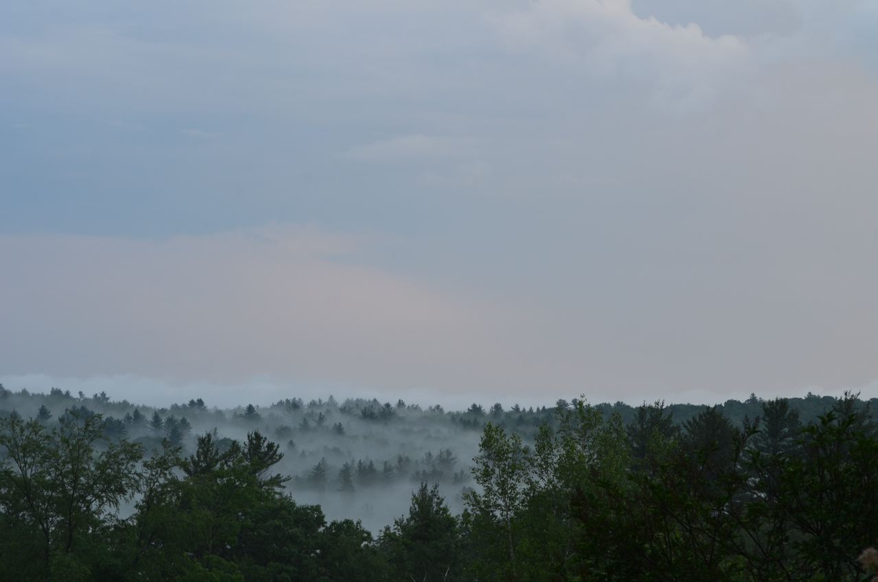 Flower Hill Farm: Gray Mantles of Foggy Mist Covering Twilight Sky Over ...