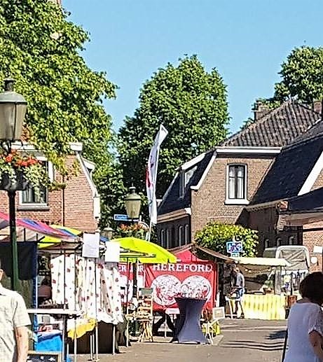 Dorpen en Steden van Nederland: Losser (Overijssel)