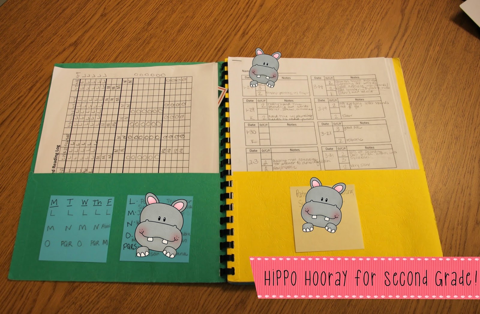 Guided Reading Lesson Planning and Note Taking - Hippo Hooray for ...