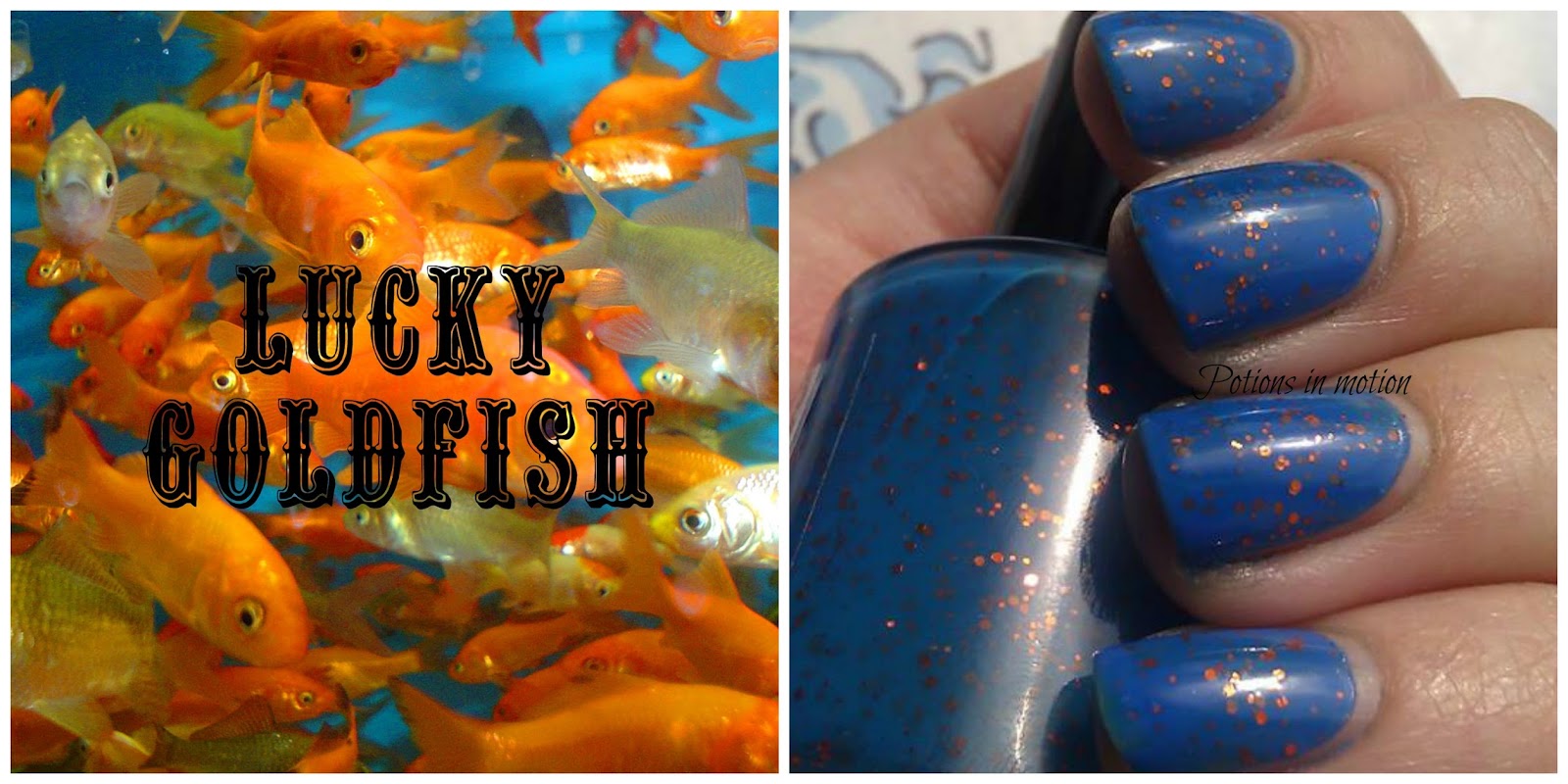 Potions in motion nail blog: Kunimitsu Nail Potions: Lucky Goldfish and ...