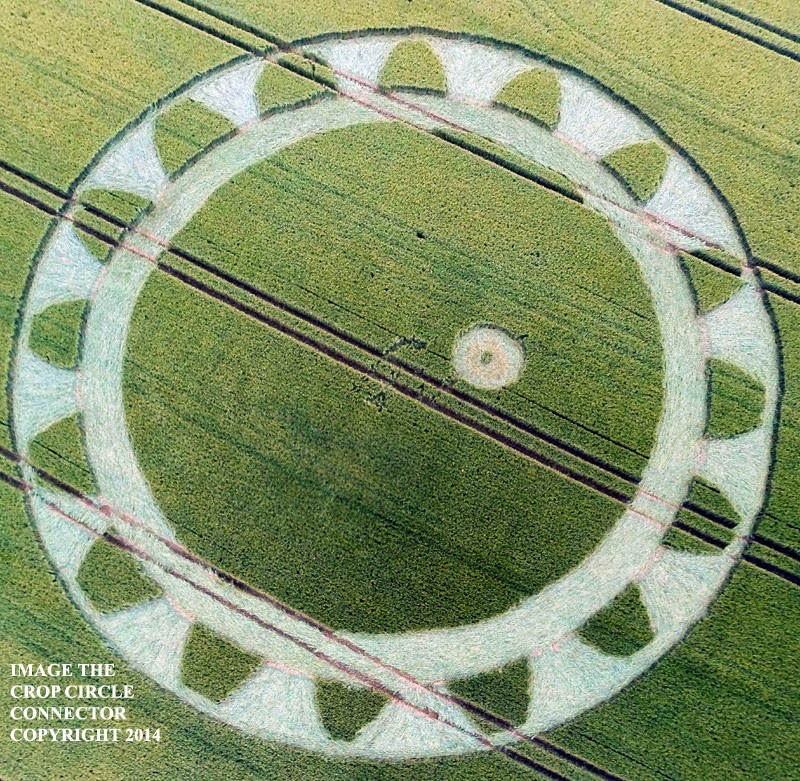 Augureye Express: 2014 Crop Circle Gallery