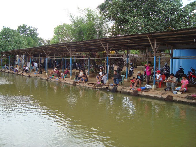 Mengenal Lebih Jauh Tentang Mancing Galatama - Mancing Arena