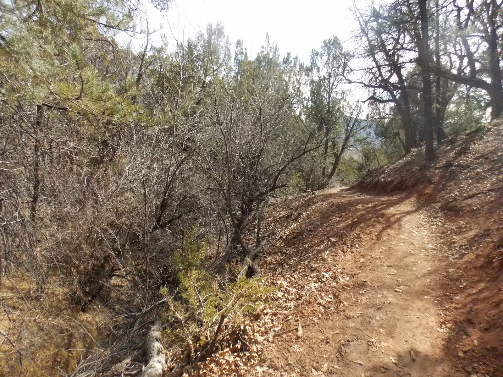 Get Outside, Albuquerque: A Lush Escape to Carlito Springs