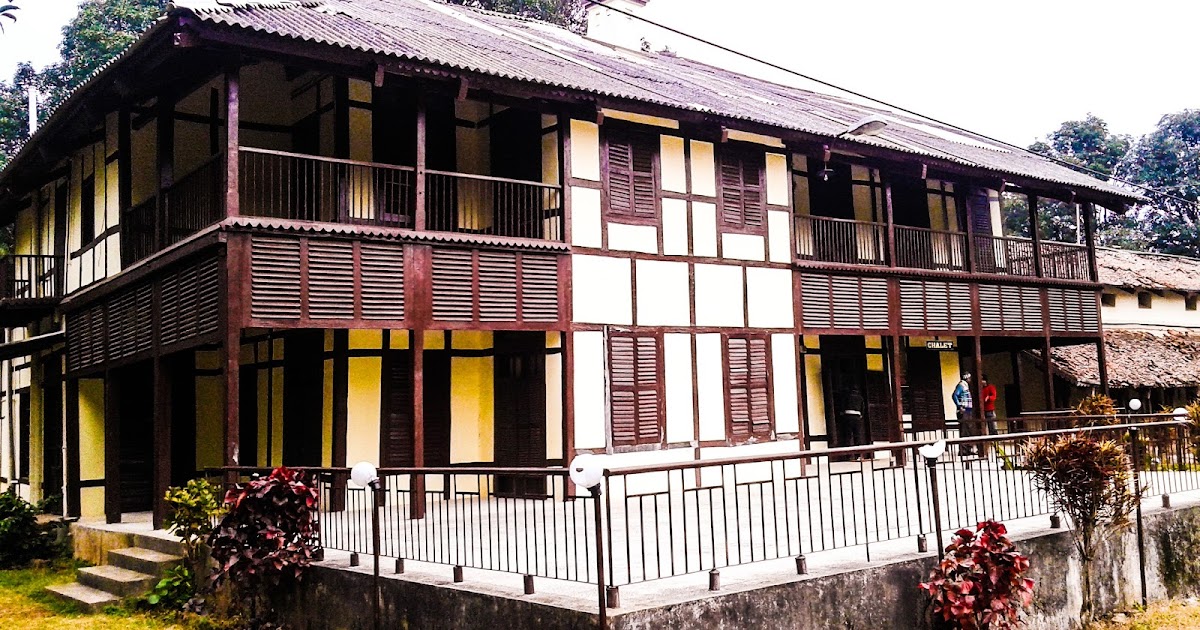 LATEHAR TOURISM BY GOVIND PATHAK: Chalet House Netarhat by Govind Pathak